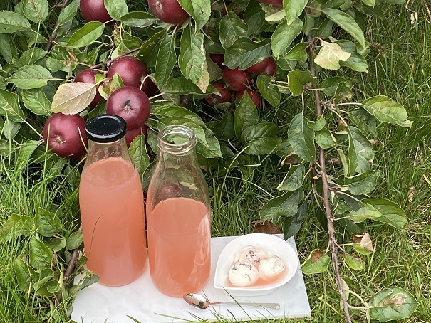 Æblesirup. En smagfuld og smuk hjemmelavet æblesirup Det er nemt at ...